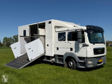 Auktion Iveco Daily andere transporter 35C16 Diesel Euro 6 - n°11309997